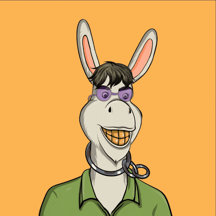 BURRO DAO | Magic Eden