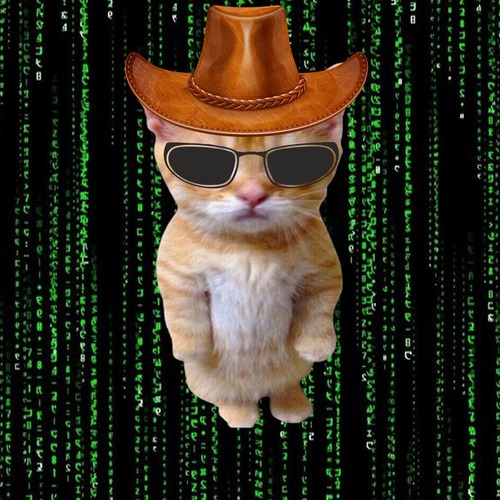 EL GATO | Magic Eden - NFT Marketplace