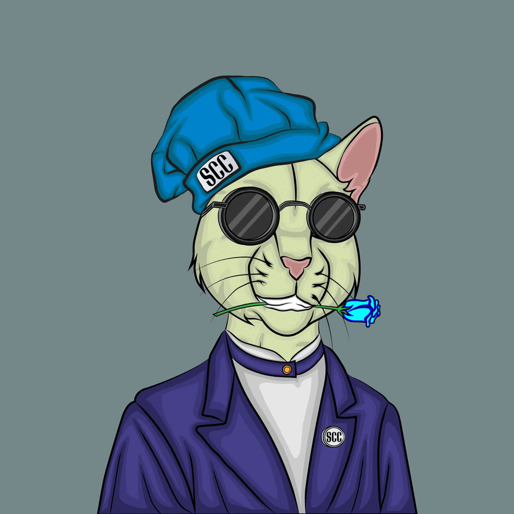 Social Cat Club | Magic Eden