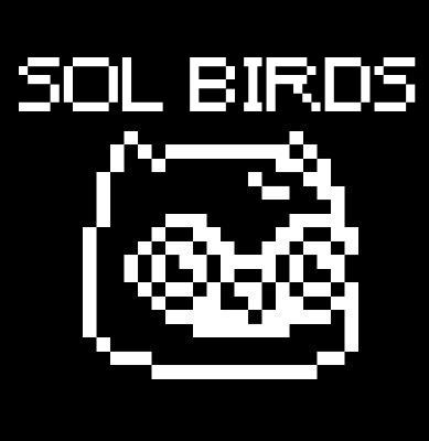 SolBirds | Magic Eden