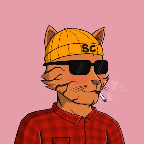 Solana Cats | Magic Eden - NFT Marketplace